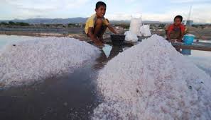 Pengertian Yodium (I) | Pengertian ILMU