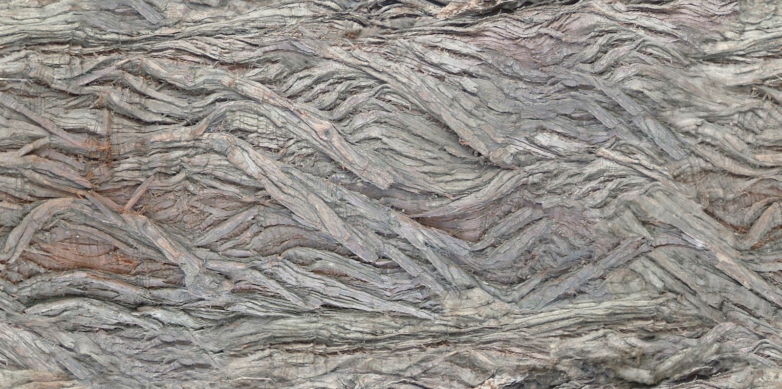 Seamless Tree Bark Texture (2) + (Maps) | Texturise Free Seamless ...