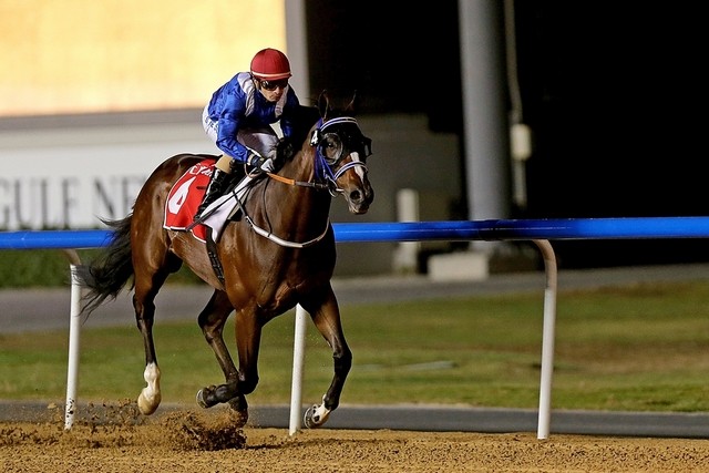 Rumah Ternak: 10 Kuda Termahal di Dunia