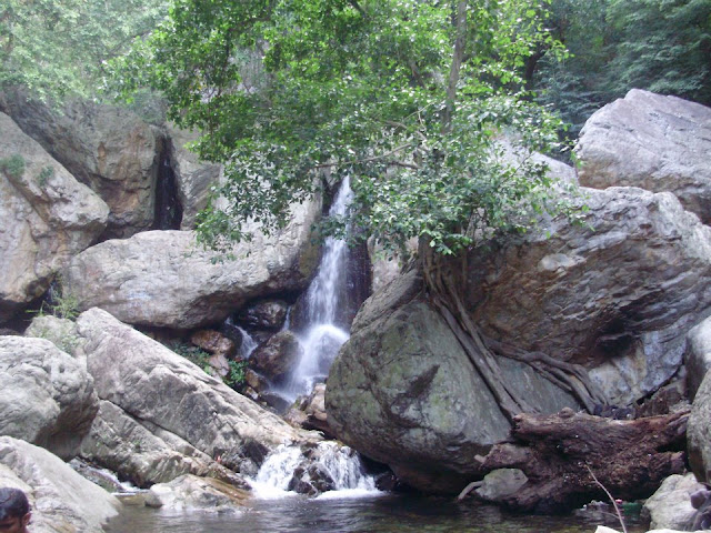 Tamilnadu Tourism: Ubbalamadugu Falls (Tada Falls)