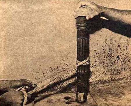 Living Temples: Vedic Culture