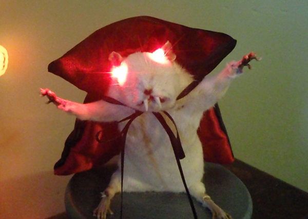 CROSS PLANES: 31 Nights of Halloween: Rat Wizard for 13th Age