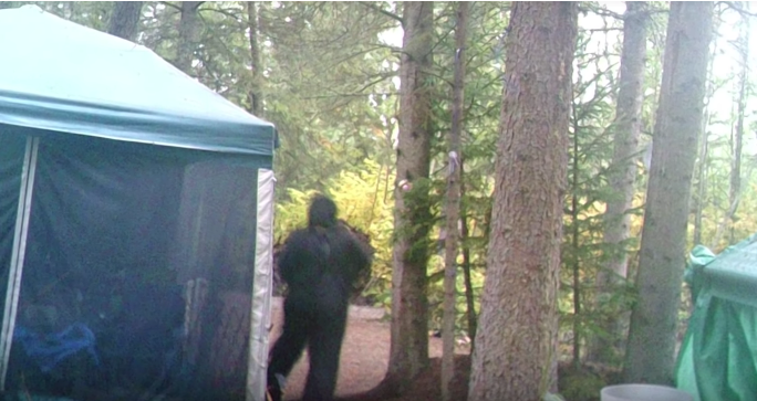 Todd Standing Presents Possible Bigfoot Photo | The Unseen World