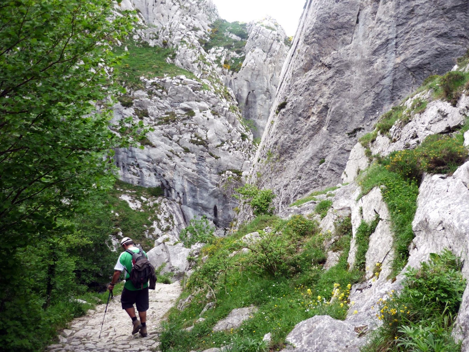 Camudando'l camín: El Pino (Ayer) - Pena Reonda