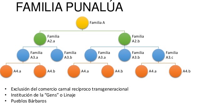 SFE: Esquema familiar