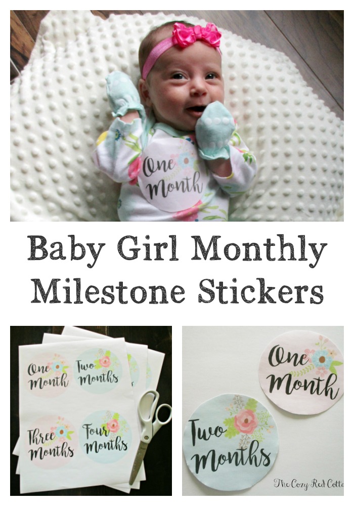 The Cozy Red Cottage: Free Baby Girl Monthly Milestone Stickers