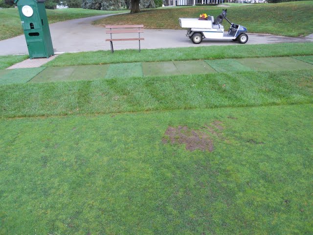 Highland Meadows Golf Club Grounds Department Blog: Maximize your ...