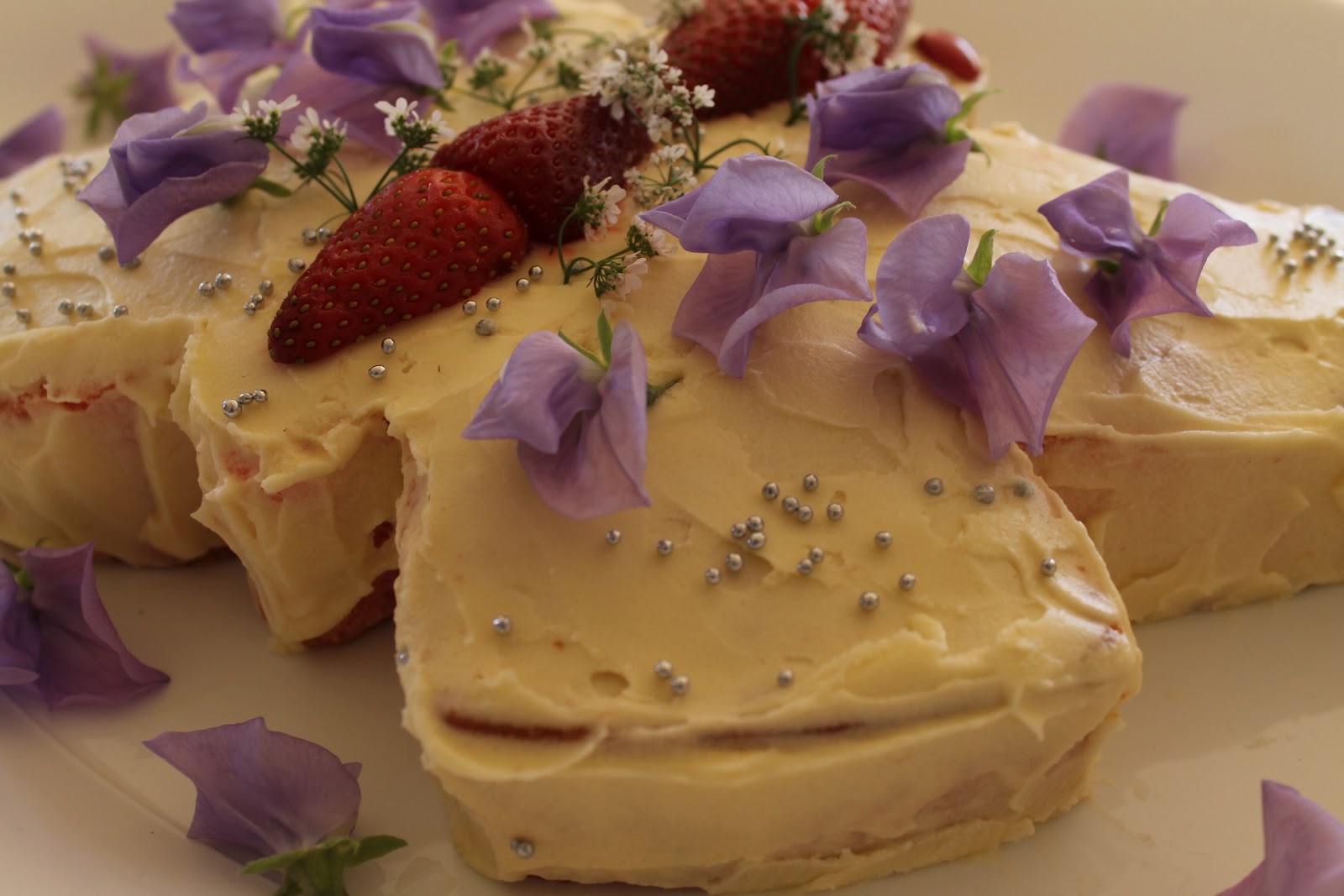 A bush picnic and a birthday - The Shady Baker