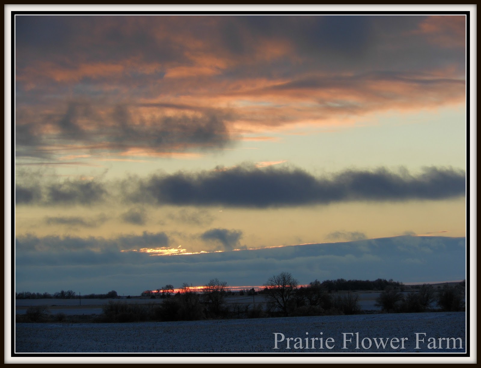 Prairie Flower Farm: What A Pretty Day It Is On The Farm!