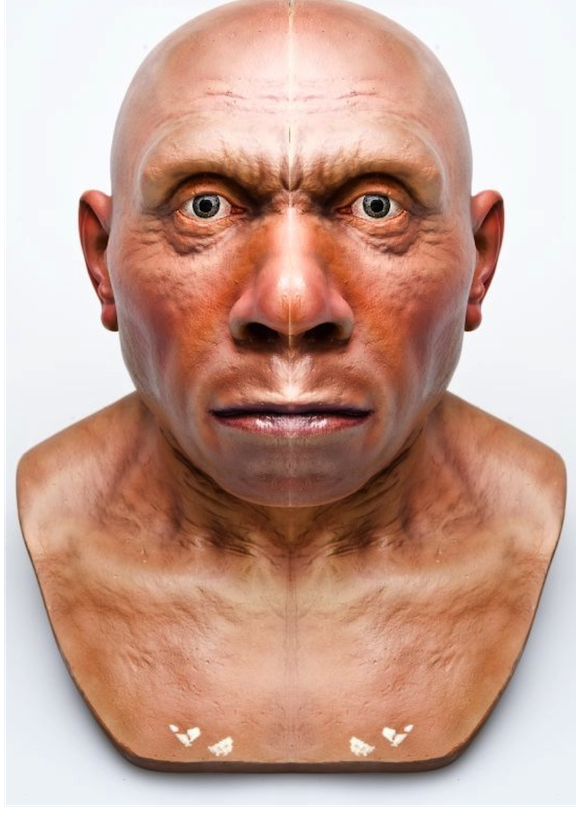 The Subversive Archaeologist: Face It! Neanderthals Were Adapted to ...