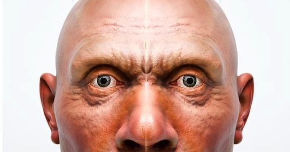 The Subversive Archaeologist: Face It! Neanderthals Were Adapted to ...