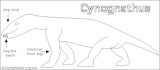 Cynodont | BIOLOGIPEDIA
