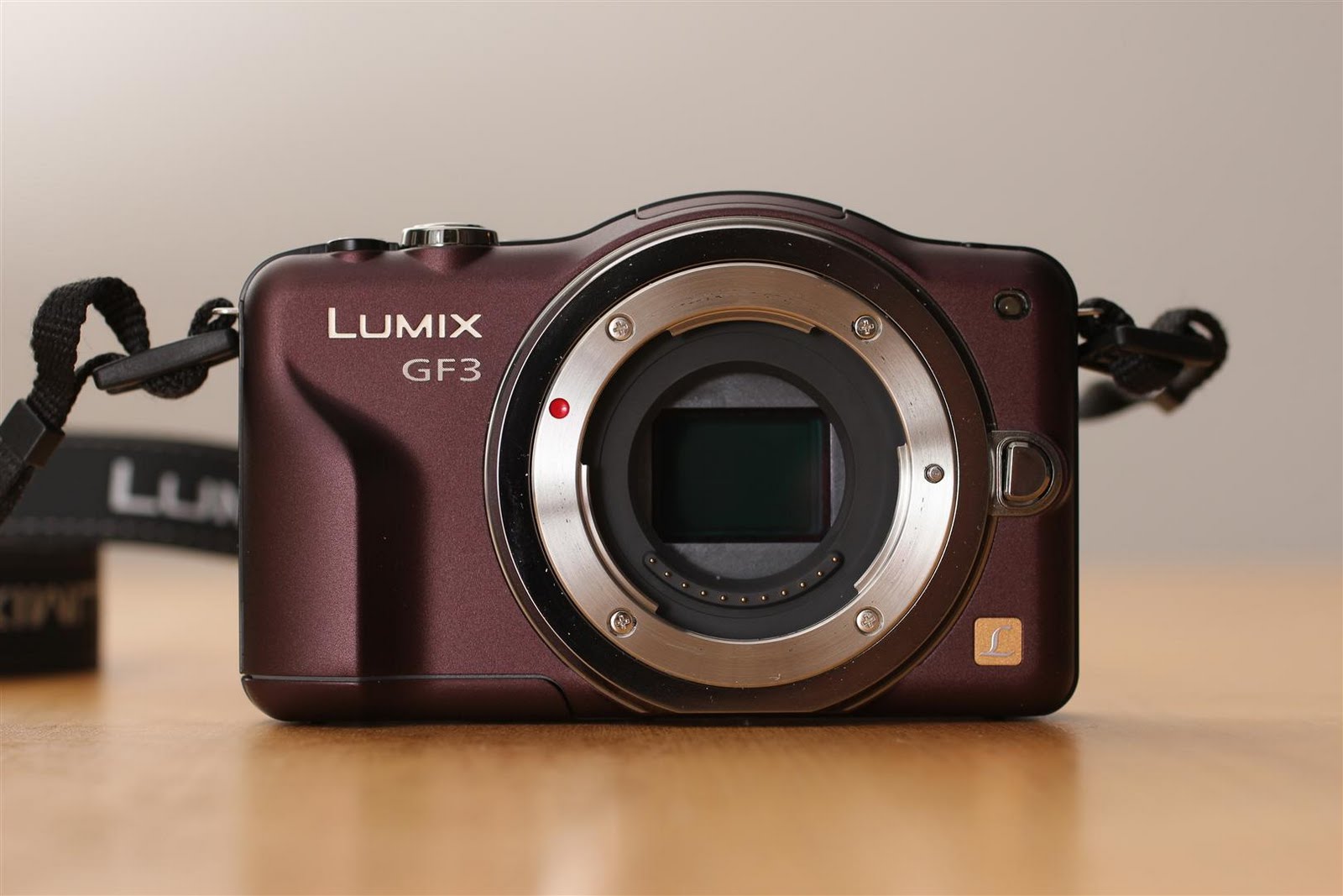 Mastering Microstock: Panasonic GF3