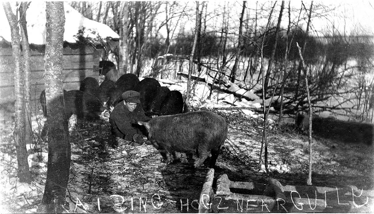 28 Old Photos Capture Daily Life of a Family in Gully, Minnesota From ...