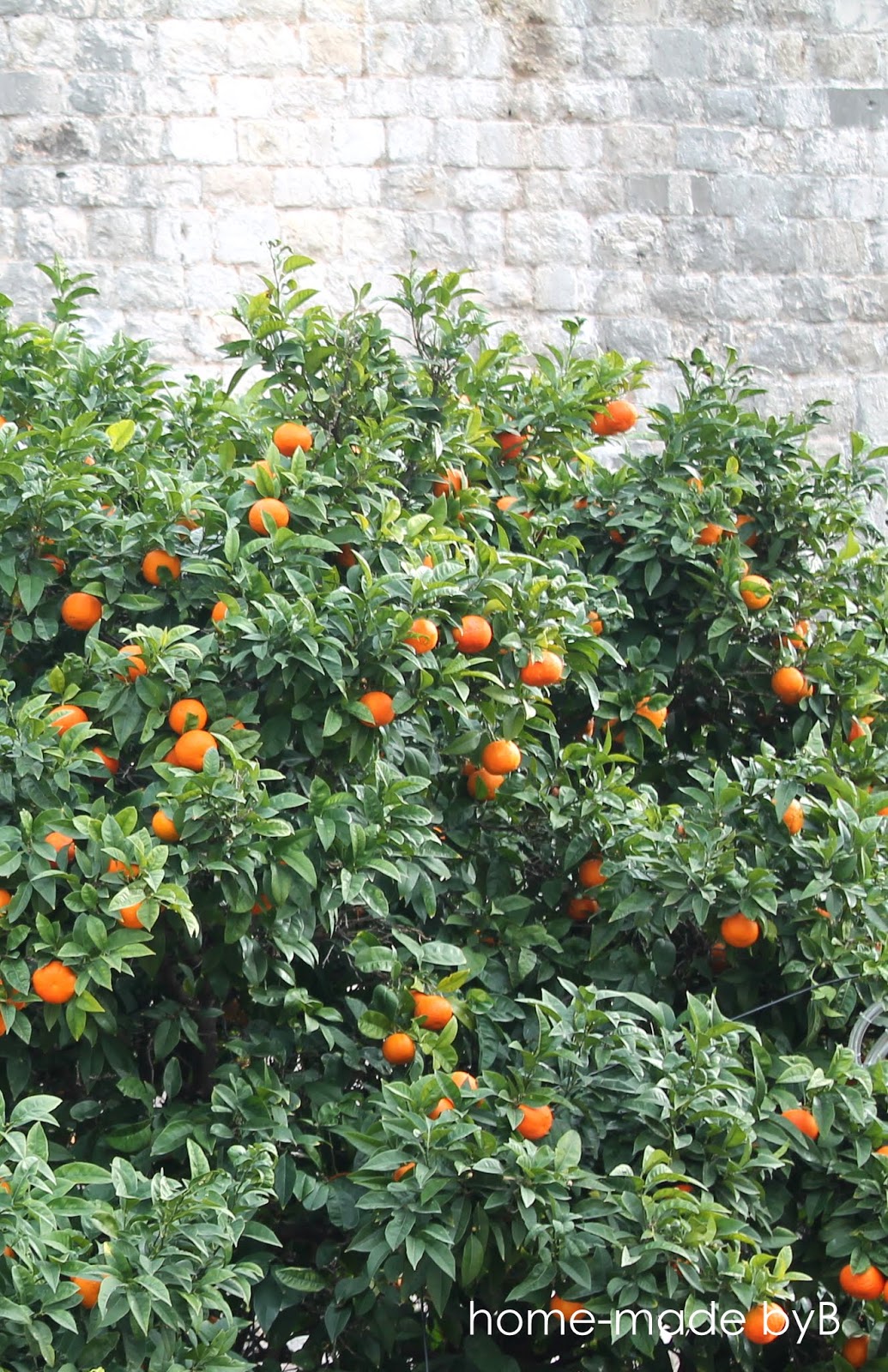 Home-made by B: Torta od naranče i badema