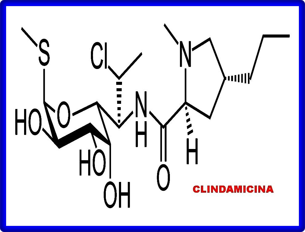FARMÁCIA BRASILEIRA: FÁRMACOS UTILIZADOS NO TRATAMENTO DA ACNE PARTE 1