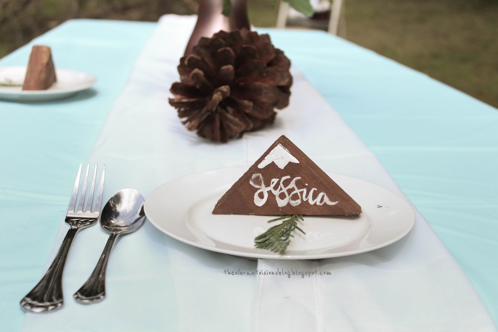 the Vibrant Visions blog: Rustic Mountain Birthday Party