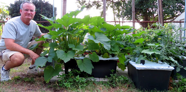 Food Garden College: Growing in an Earthbox® Self-Watering Container
