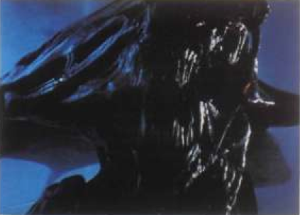 Alien Explorations: Giger talks about Aliens and Poltergeist 2