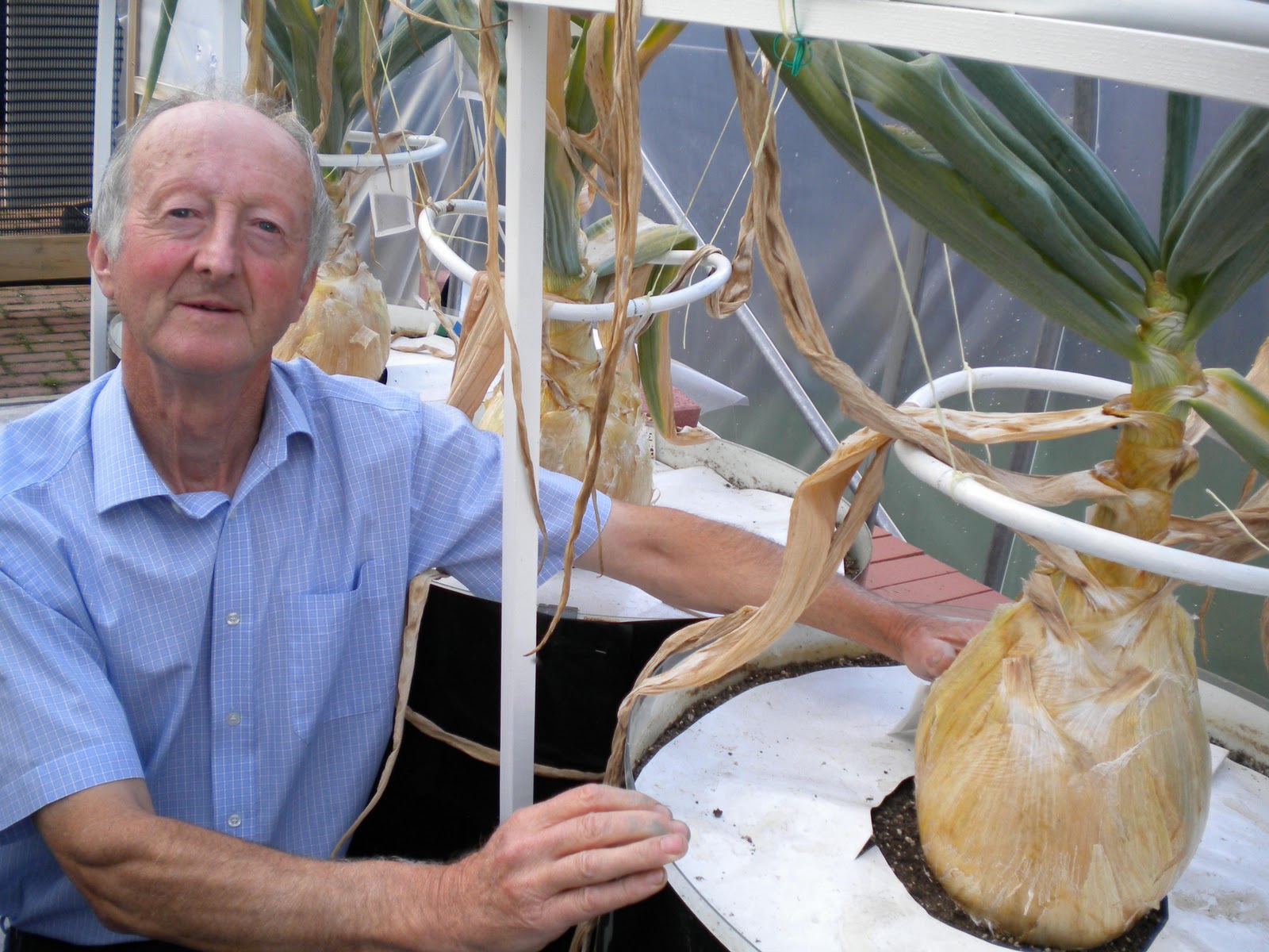 HOW TO GROW GIANT VEGETABLES |The Garden of Eaden