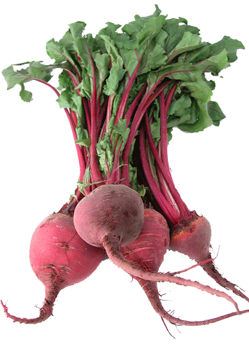 Wellness News at Weighing Success: December, Celebrate Root Vegetables ...