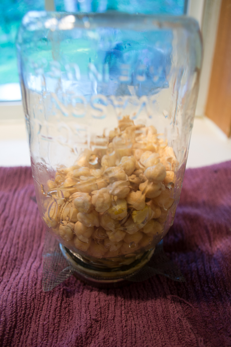 TRULY ORIGINAL ORGANICS: Sprouting Raw Beans at Home