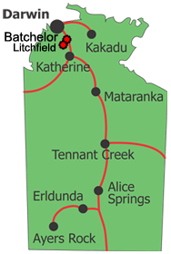 oz.Typewriter: The Cockatoo and the Good Companion Typewriter