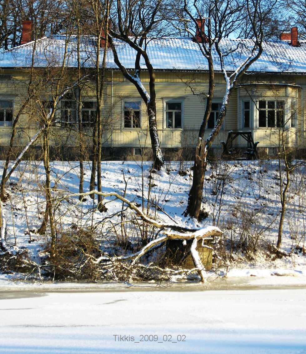 Juhani Tikkanen: helmikuuta 2009