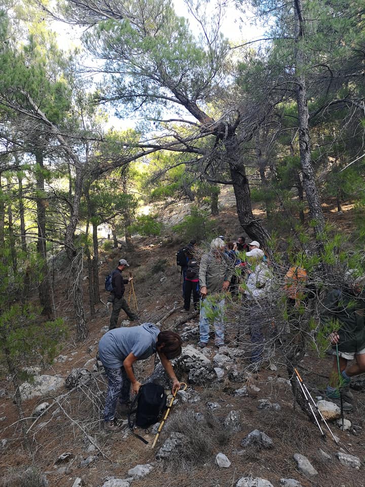 EXPLORE MOUNTAINS: ΠΕΖΟΠΟΡΙΑ ΣΤΟ ΔΑΣΟΣ ΤΗΣ ΘΡΥΠΤΗΣ