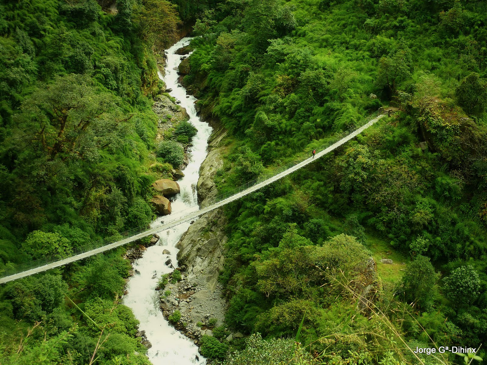 La Meteo que viene: TREKKING DEL LANGTANG DIA 4 De Langtang a Thulo ...