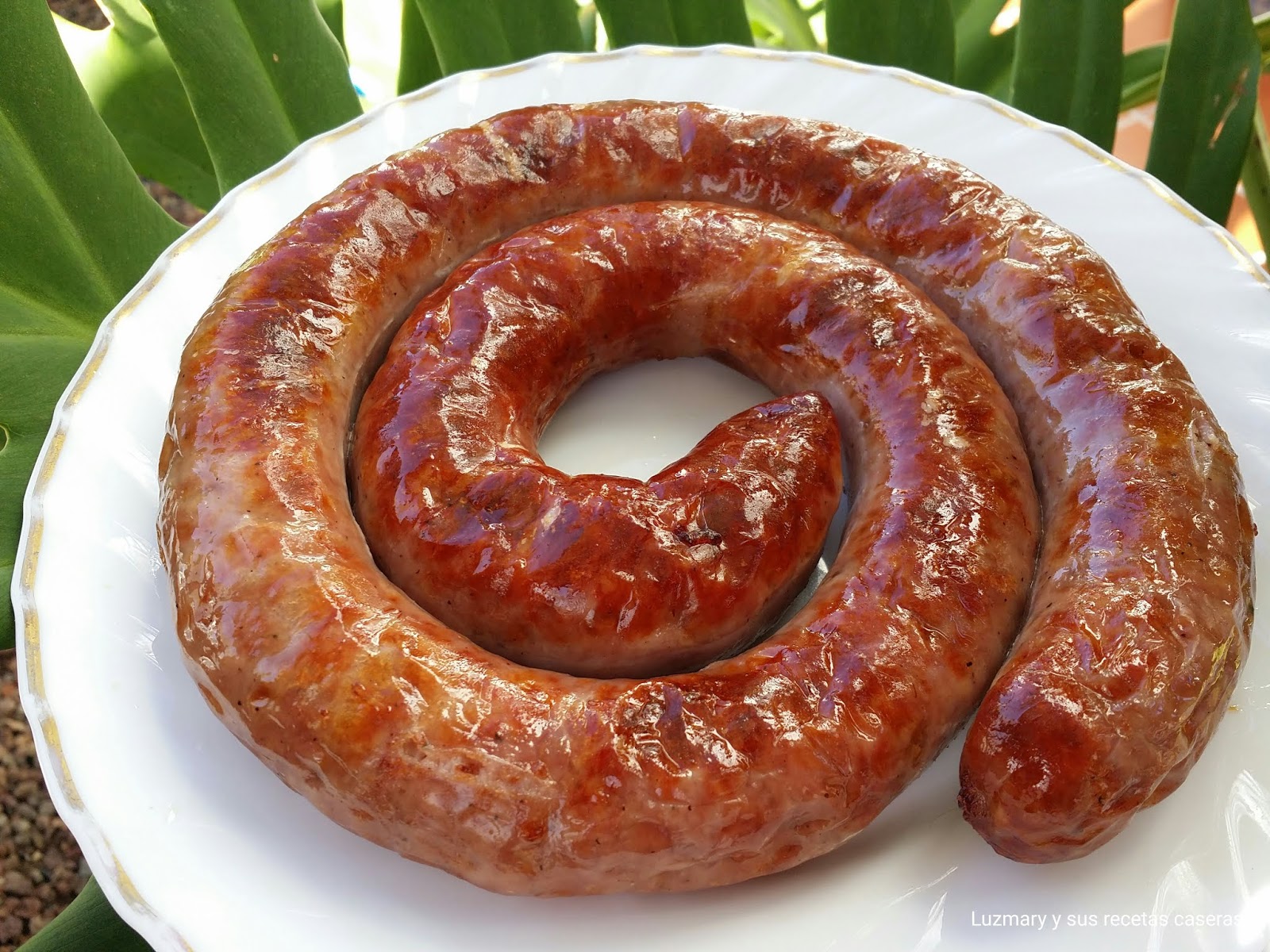 Luzmary y sus recetas caseras: BUTIFARRA EN CECOFRY