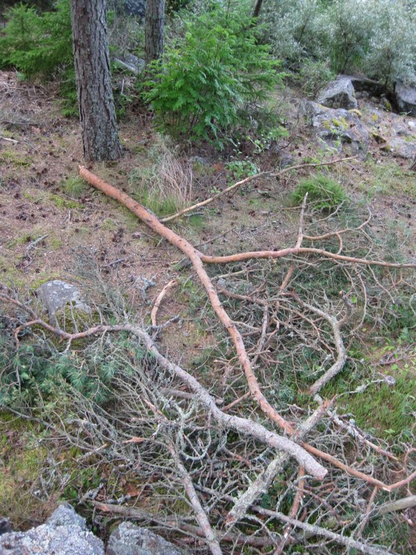 Mökkeilyä: Terassin teko 30.-31.7.