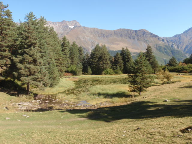 Discover Baltics reisiplaanid: ALAR SIKK-ga matkale GRUUSIASSE