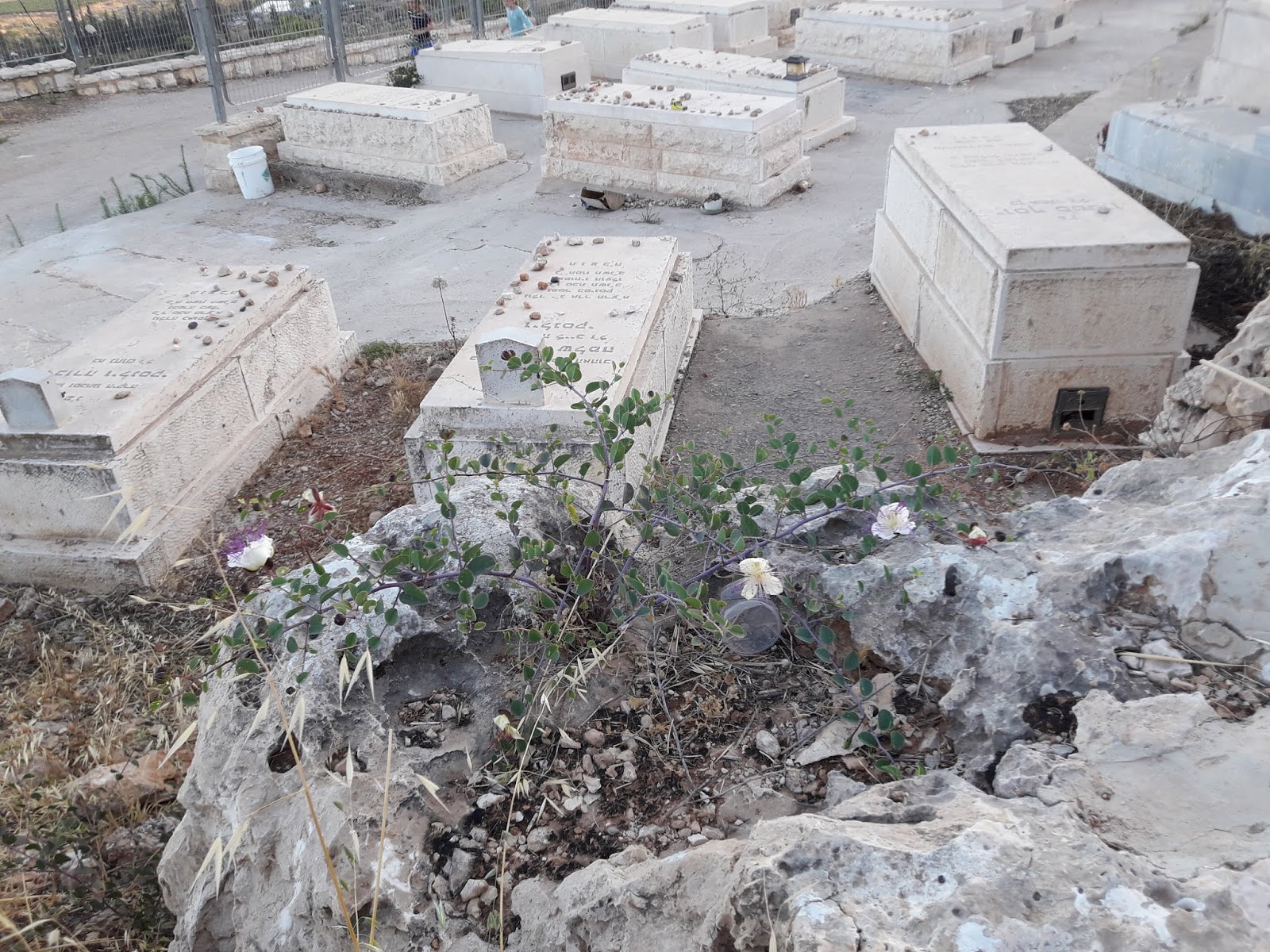 Shiloh Musings: PA Post-Abbas Prediction: Death, Violence and Instability