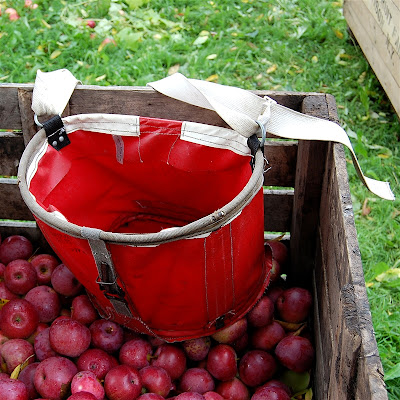 Capadia Designs: Apple Picking