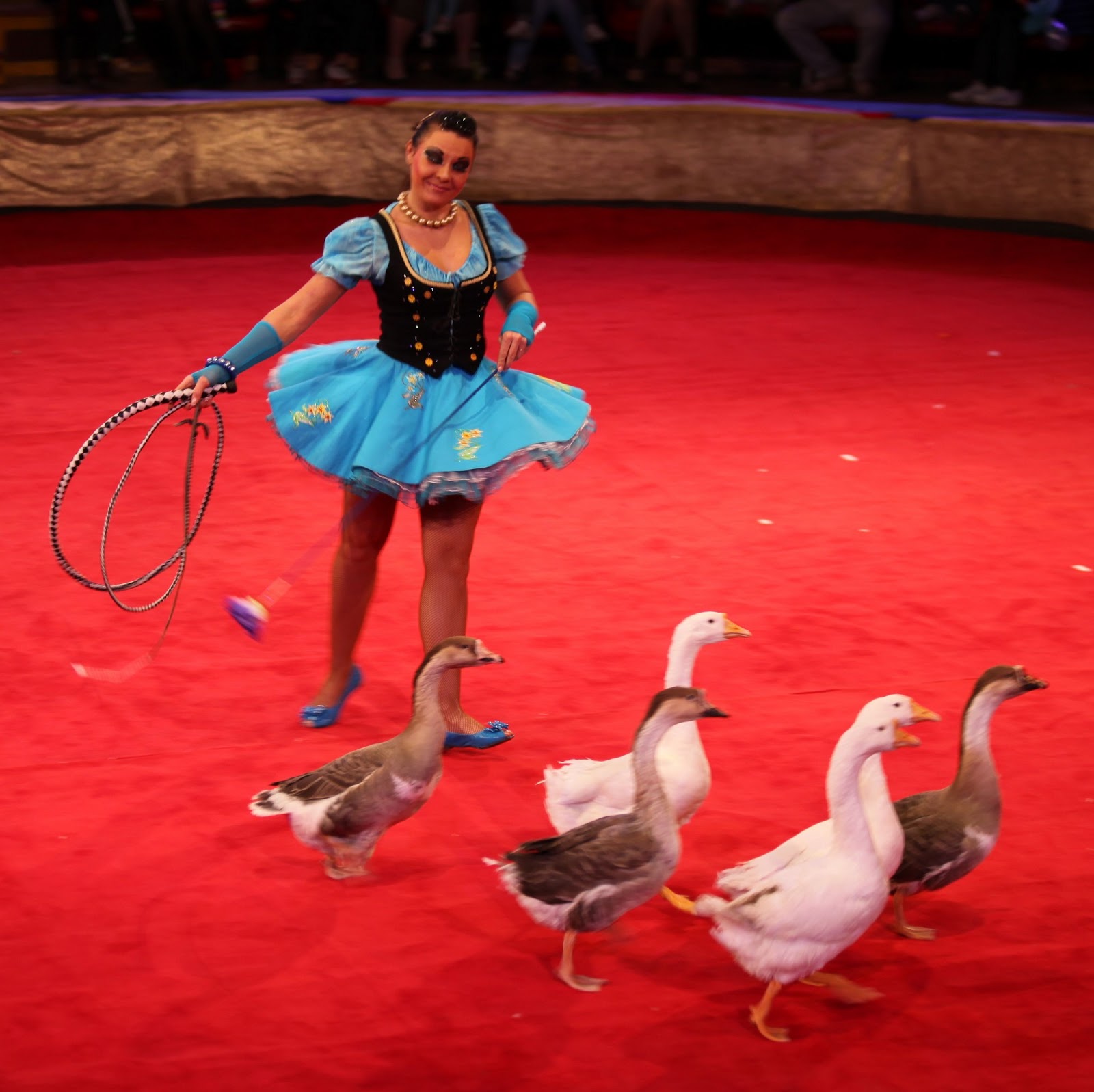 Musings in Mongolia: Going to the Circus