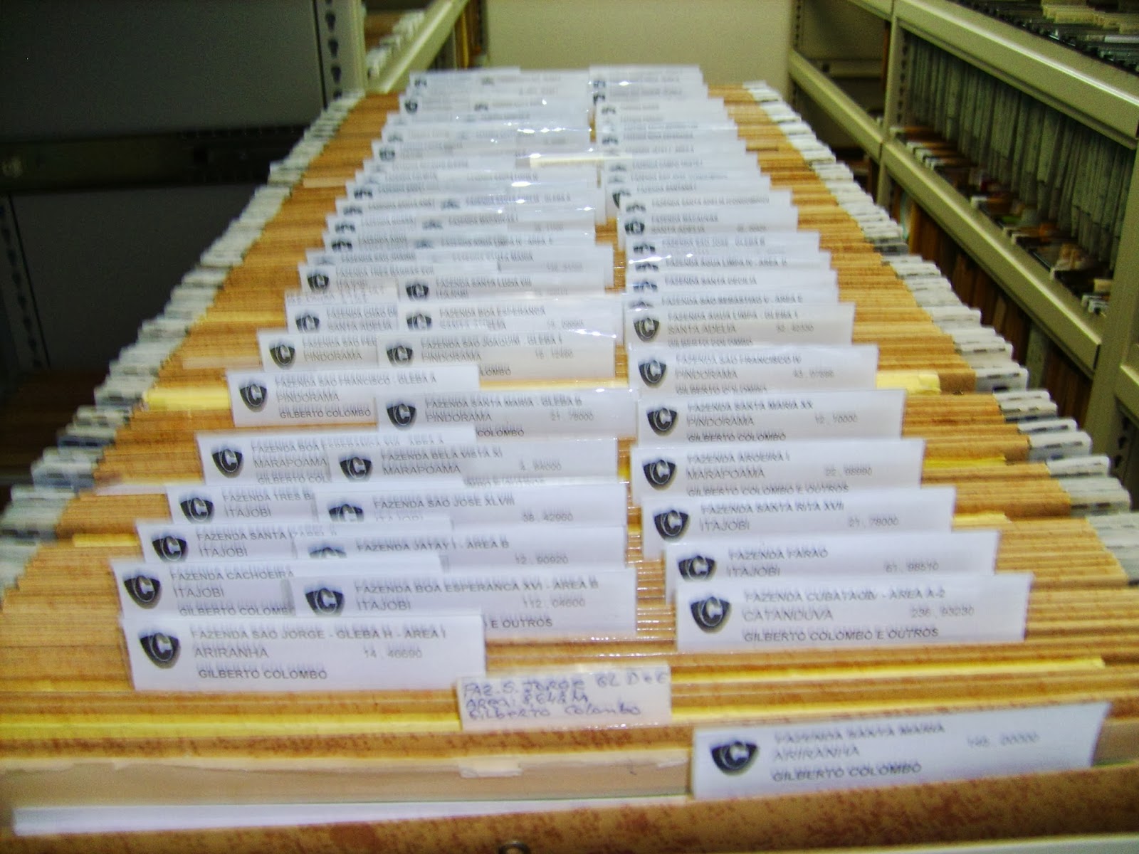 Blog da ACERVO Organização e Guarda de Documentos: 10 DICAS PARA ...