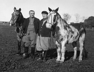 Guia da Bombacha: Gato e Mancha/Gato y Mancha