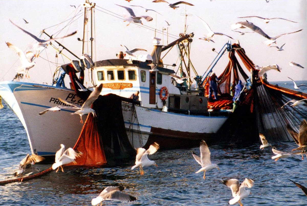 Peniche terra de mar e sol: “FISH TOUR” – TURISMO & PESCA