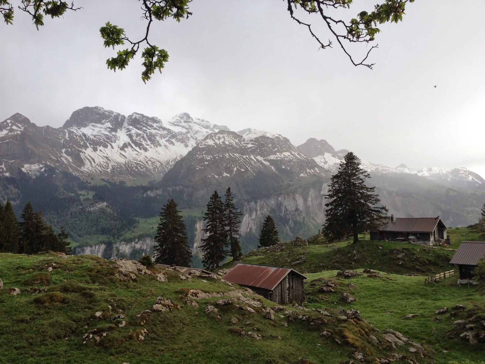 Skiclub Brienzwiler: Bilder