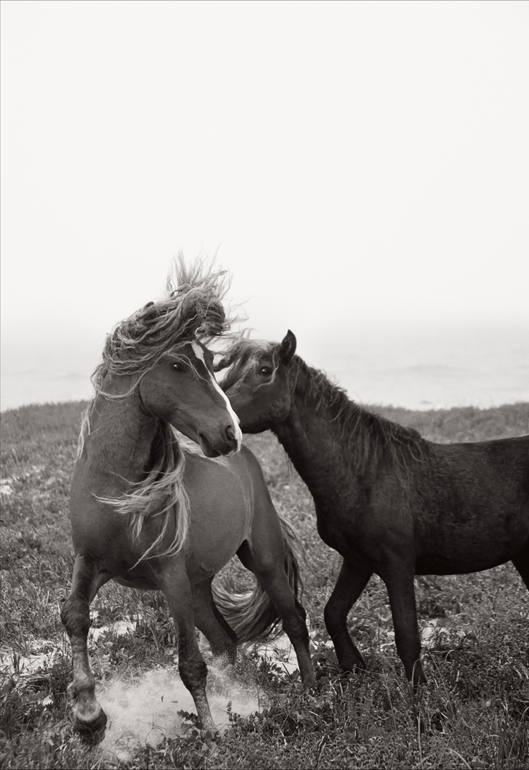OLTRE IL MURO: ARTE e FOTOGRAFIA: DREW DOGGETT | PHOTOGRAPHER