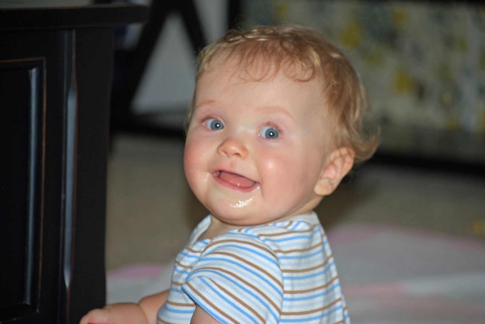 A Monkey, A Turtle and an Owl