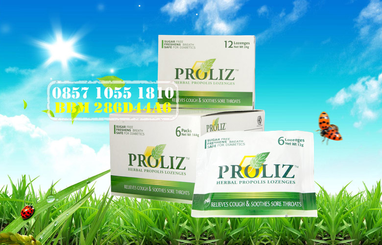 Proliz Herbal Propolis Lozenges Melegakan Tenggorokan | Produk HDI