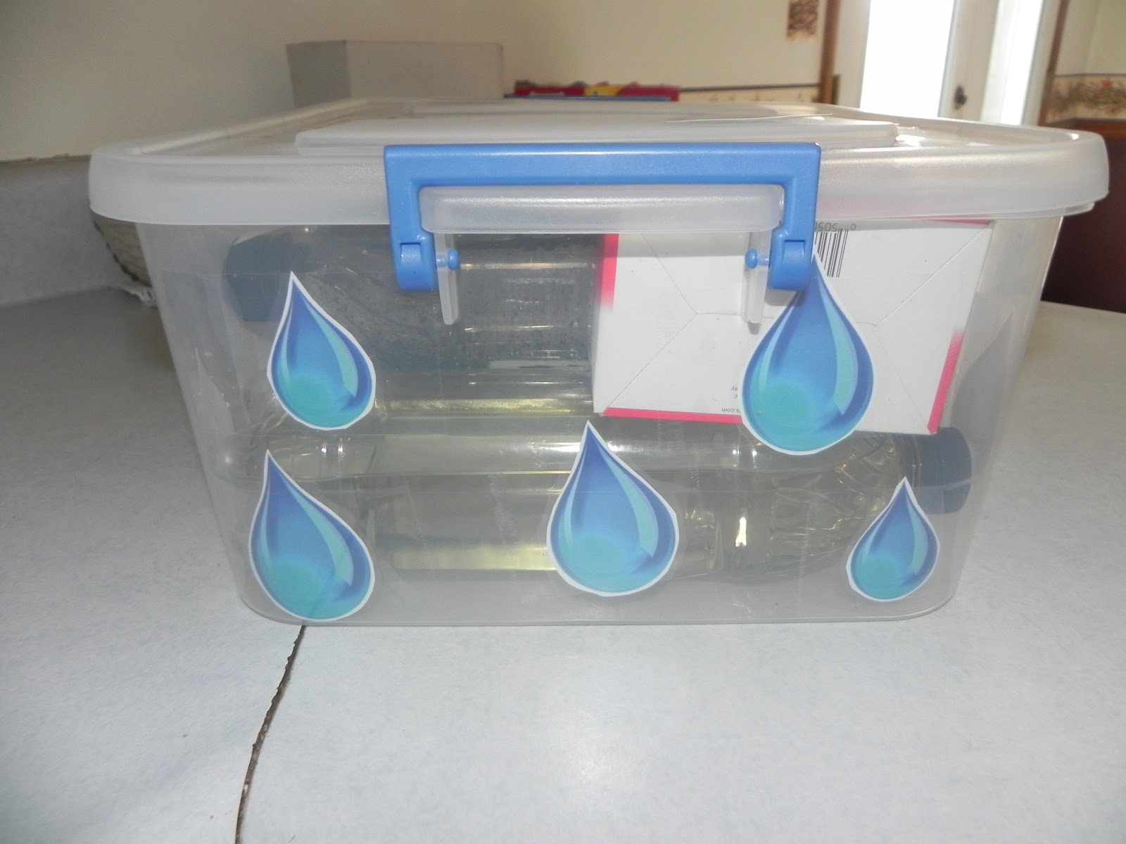 Our Science Adventures: What do you see prop box- Lesson plan