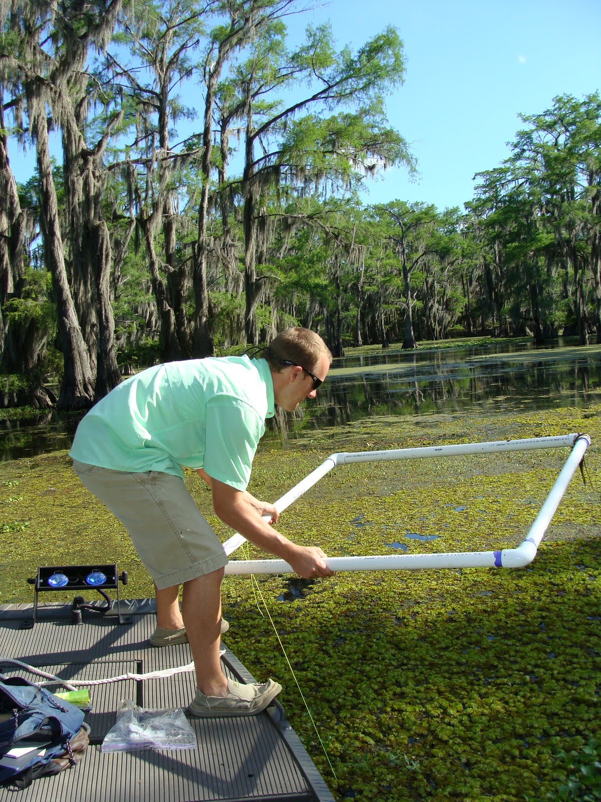 Caddo Lake Giant Salvinia Eradication Project: Large-Scale Weevil ...