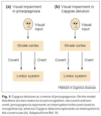 The Neurocritic: Capgras for Cats and Canaries