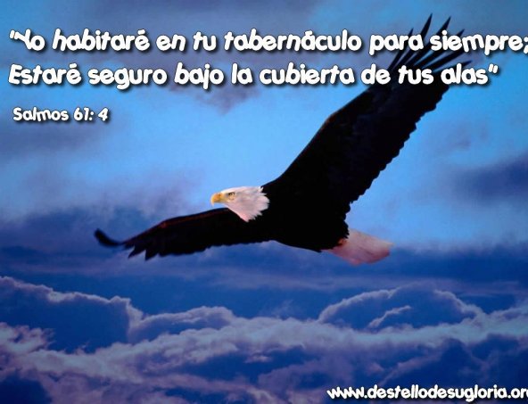 JESUS PODEROSO GUERRERO: Salmos 91Reina Valera Actualizada (RVA-2015)