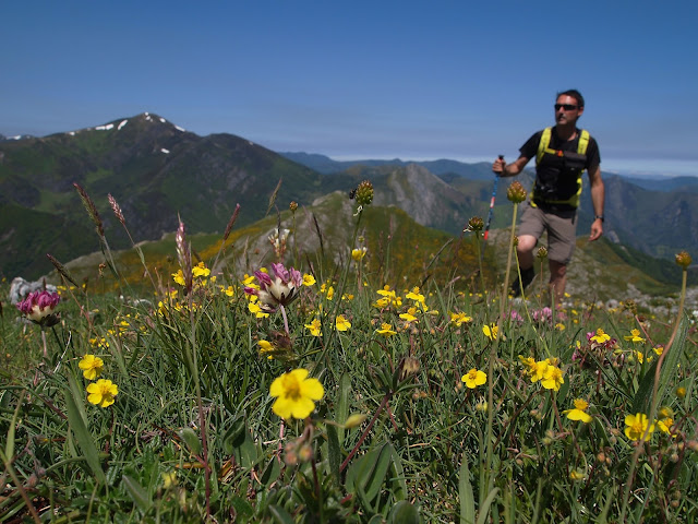 Cumbres de la Cordillera: ruta circular al monte la enramada, somiedo