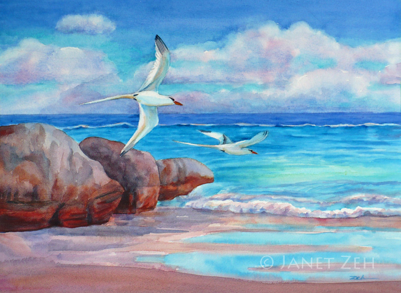 Zeh Original Art Blog Watercolor and Oil Paintings: Bermuda Longtails ...