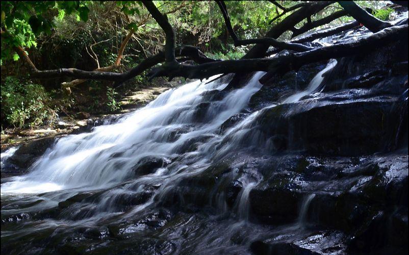 Tamilnadu Tourism: Pambar Falls (Liril or Vatakanal), Kodaikanal